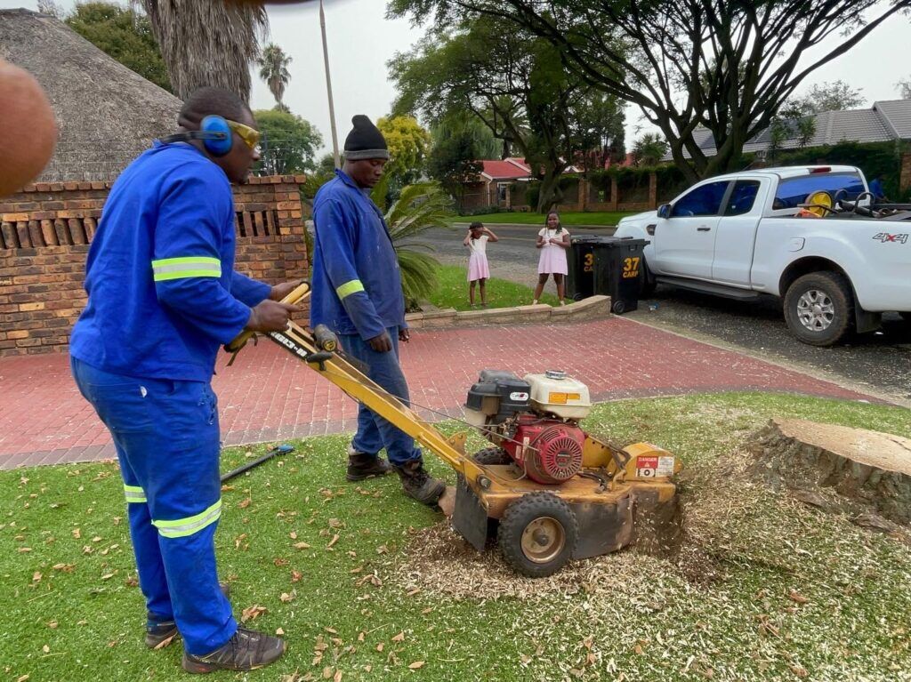 Expert Tree Felling Centurion | Call +27 60 011 0549 | Your Trusted Partner